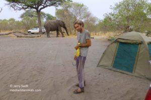 Jerry Swift - Meet Wild Animals