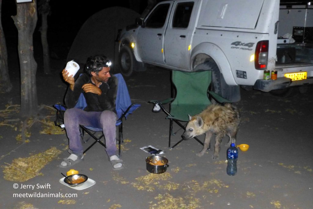 Jerry Swift - Meet Wild Animals