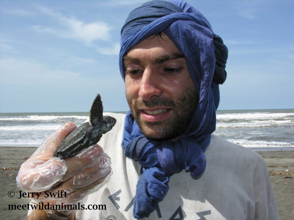 Mes amis les animaux - Meet Wild Animals